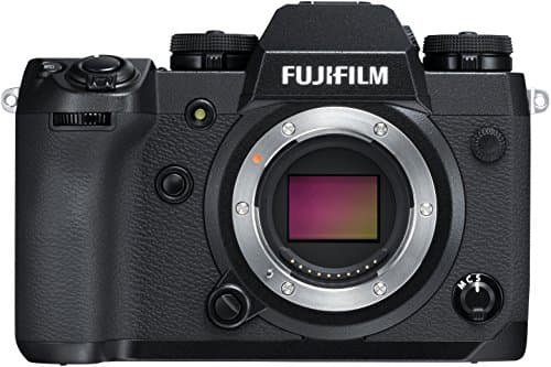 What Fujifilm Cameras Have IBIS?